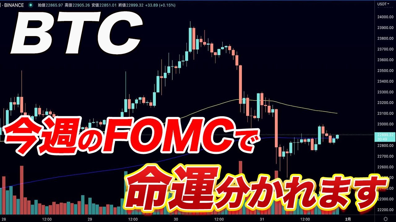 【BTC今週が超重要局面】FOMC次第で爆上げもあります。【仮想通貨】