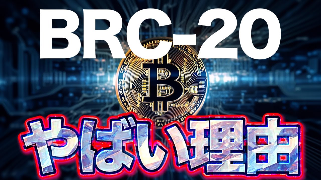 【BRC20】手を出さない理由【BTC】